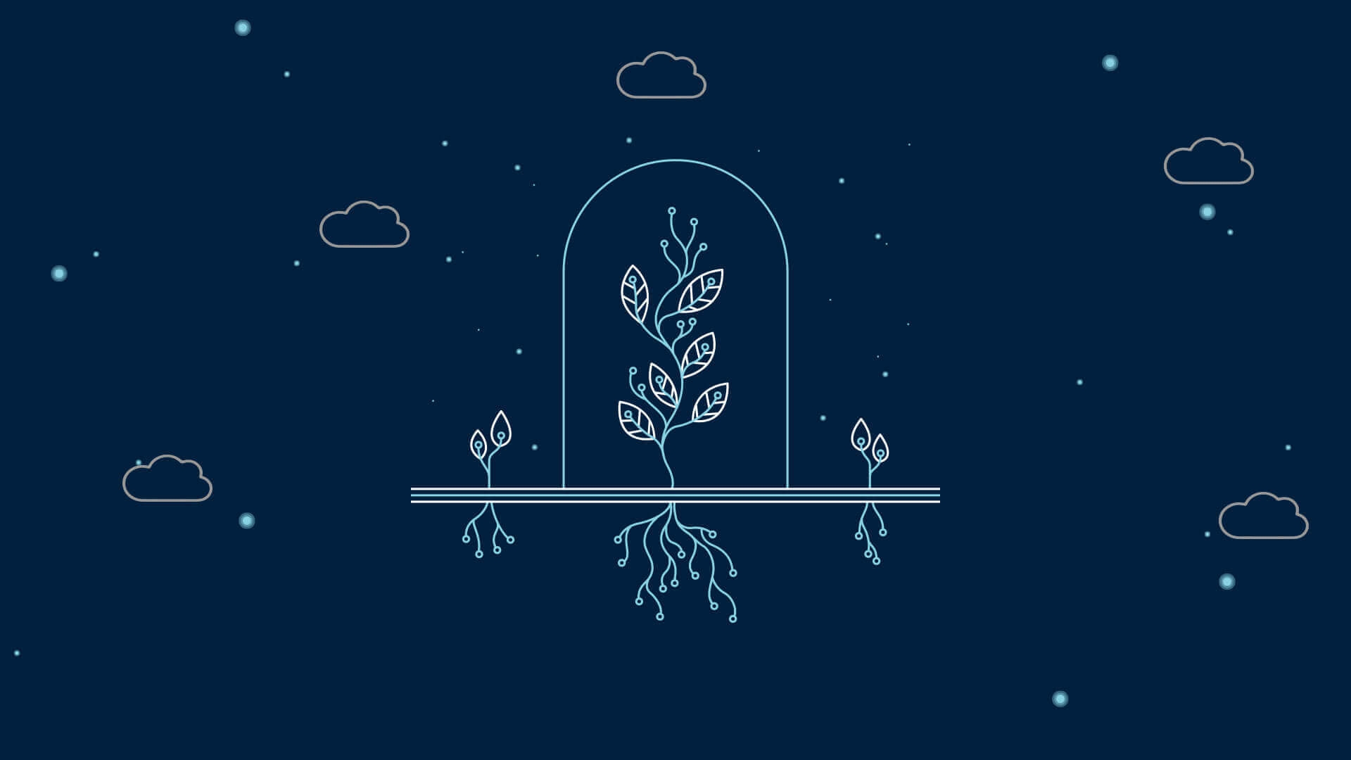 Digital Transformation Services & IoT - Datachip